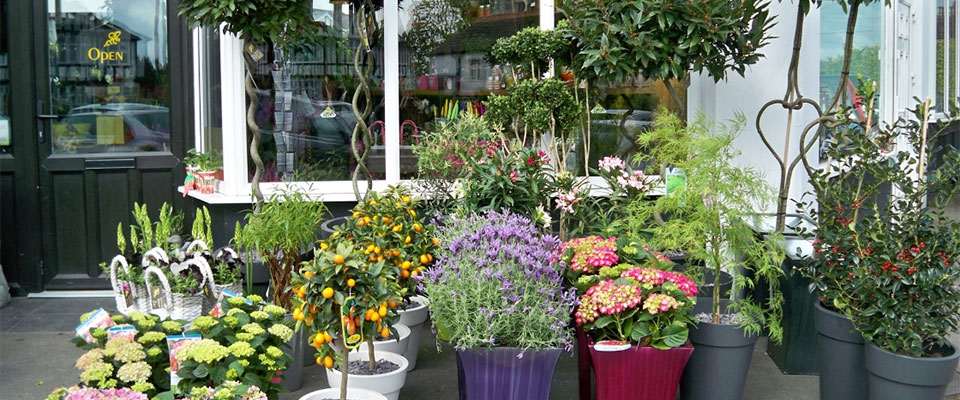 Beehive Florists - Chelmsford Order Online or 01245 251037